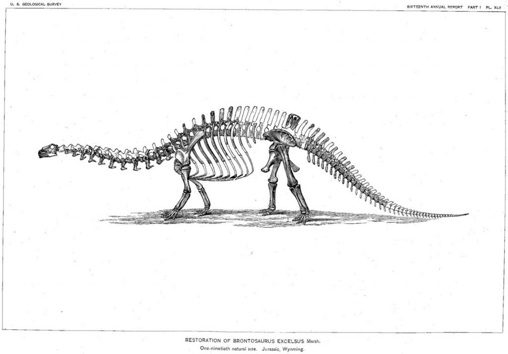 The Brontosaurus thunders back into our imaginations - Sedona Red Rock News
