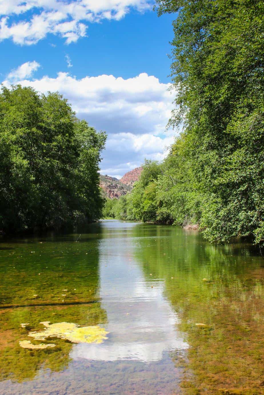 Sycamore Canyon offers shaded area for relaxation - Sedona Red Rock News