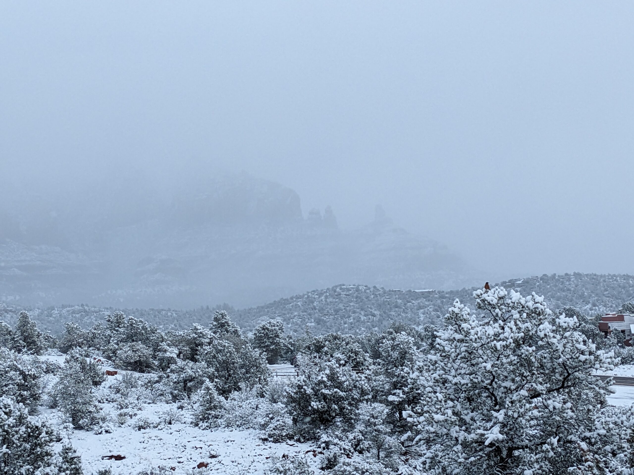 Photos of January's snowfall in and around Sedona - Sedona Red Rock News