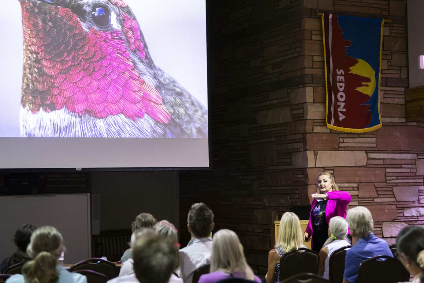 Sedona Public Library highlights hummingbirds - Sedona Red Rock News