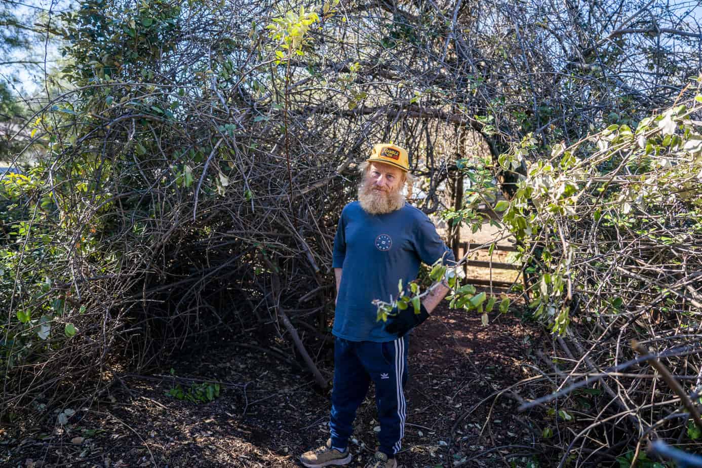 ‘Magic’ battles Terry’s Park rats in West Sedona - Sedona Red Rock News