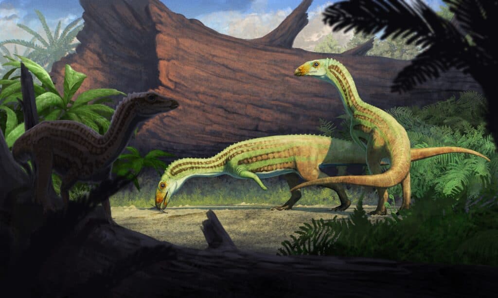 Bug-eyed and bipedal crocodile creature with a toothless beak - Sedona ...